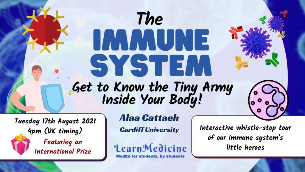 The Immune System – Get to Know the Tiny Army Inside Your Body ...